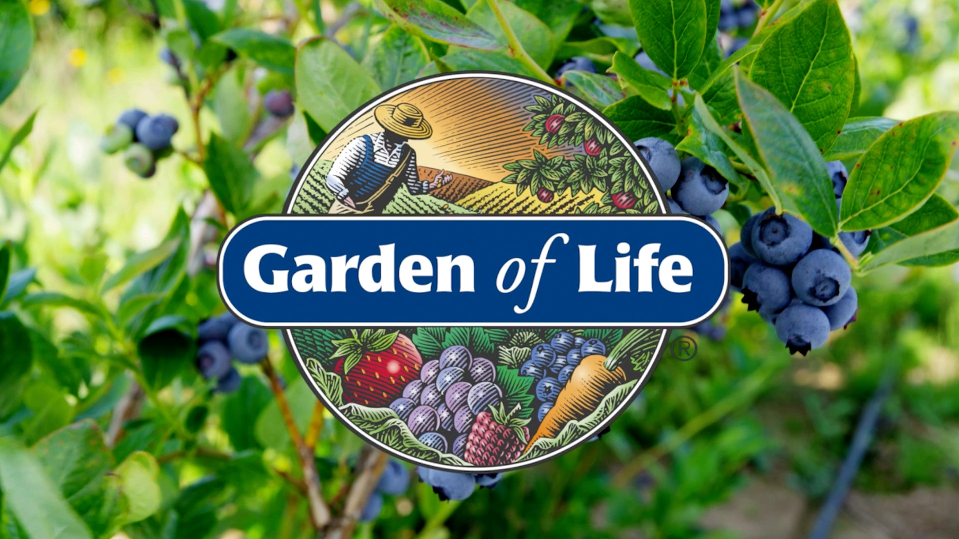 Garden of Life – The Road Less Traveled